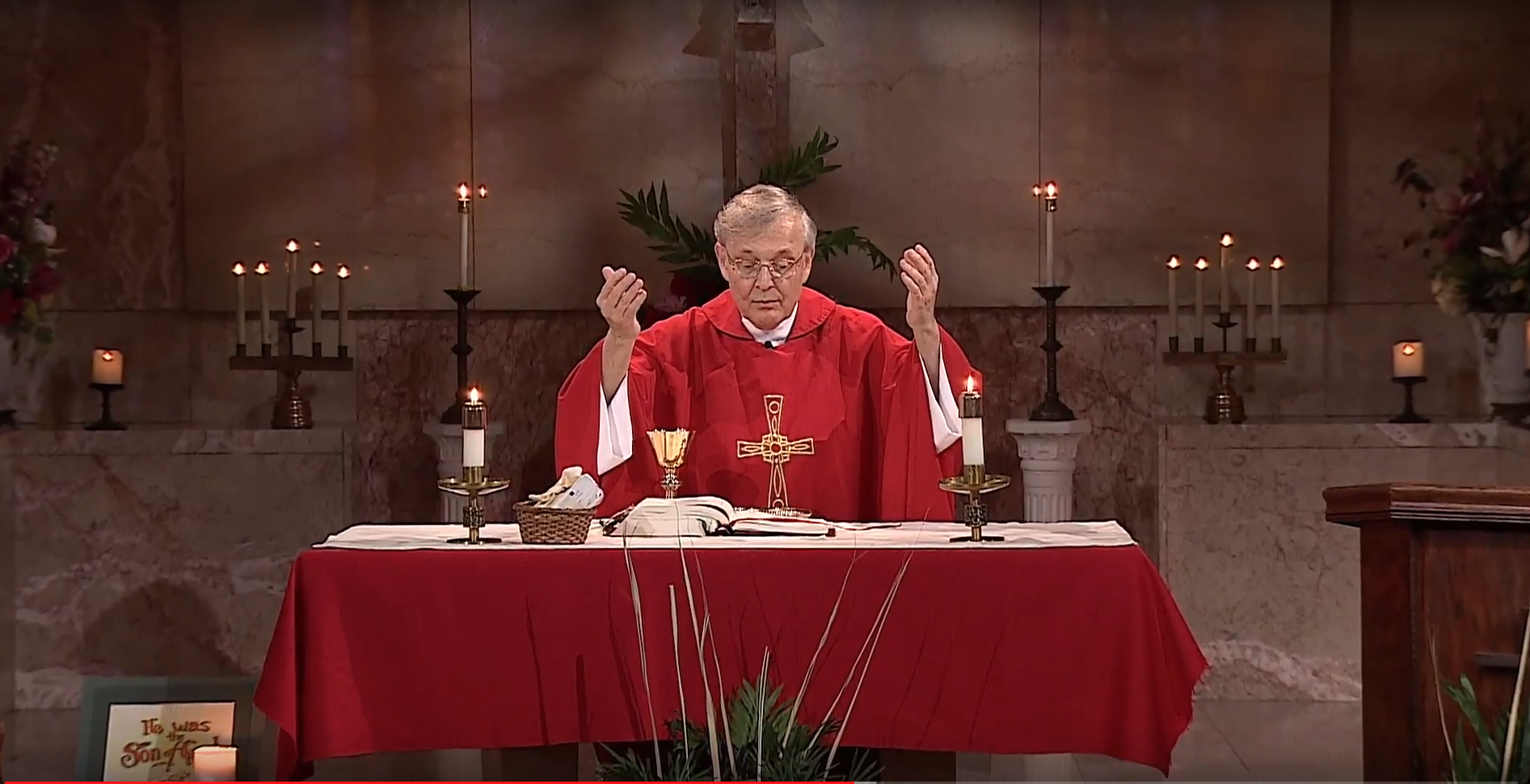 Palm Sunday of the Passion of Our Lord - Sunday Mass at Mercy Home ...