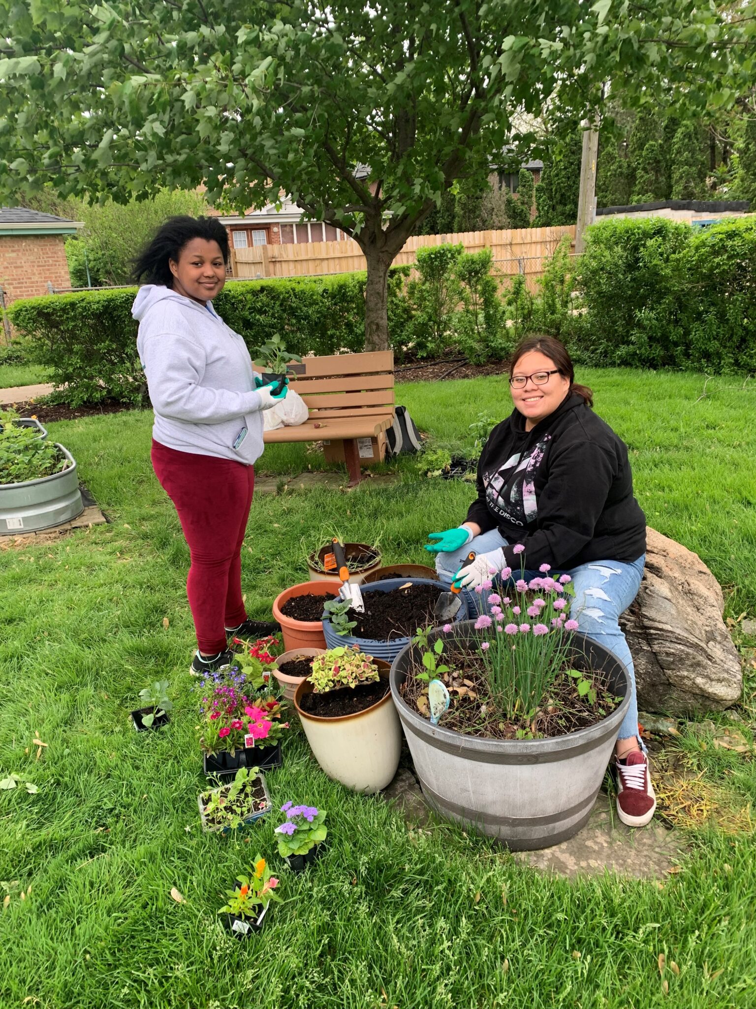 Acting Locally to Heal Globally—New Mercy Home Environmental Club Aims ...