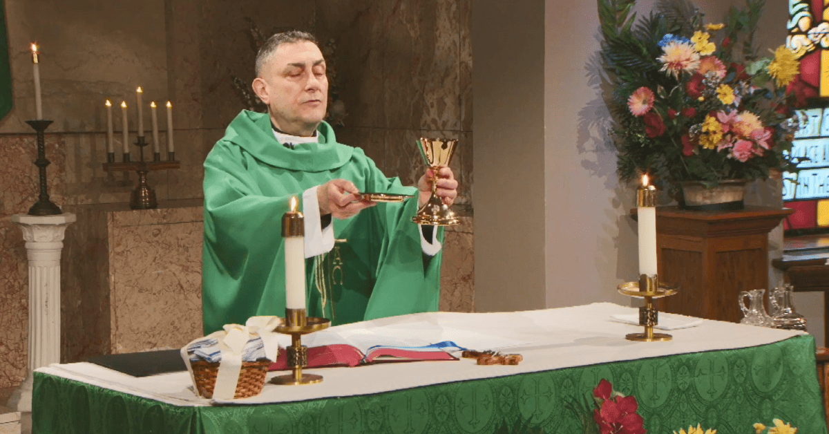 Fifteenth Sunday in Ordinary Time | Sunday Mass at Mercy Home