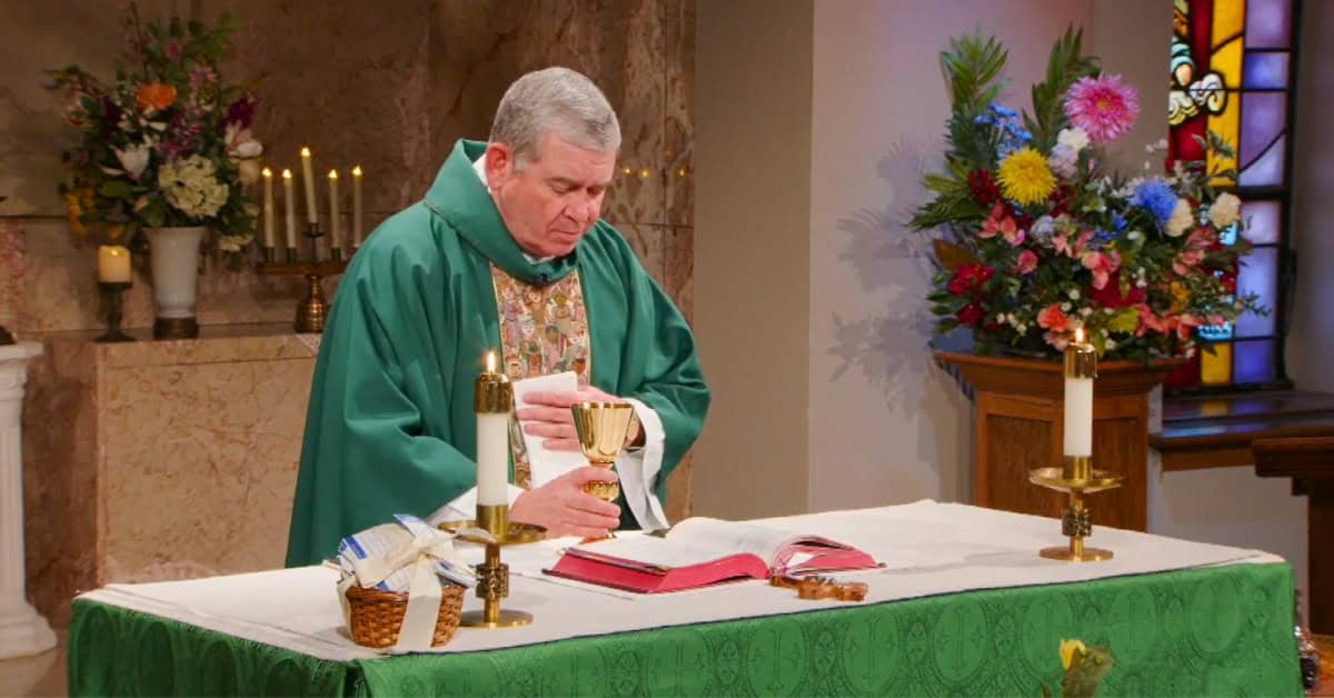 Twentieth Sunday in Ordinary Time | Sunday Mass at Mercy Home Twentieth Sunday in Ordinary Time | Sunday Mass at Mercy Home