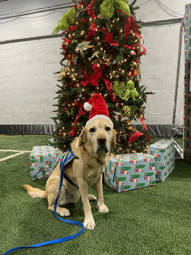 Remembering Pongo - Mercy Home for Boys & Girls